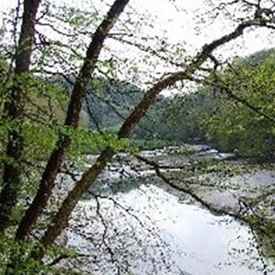 Walk: Pelynt & the West Looe Valley - Visit Looe